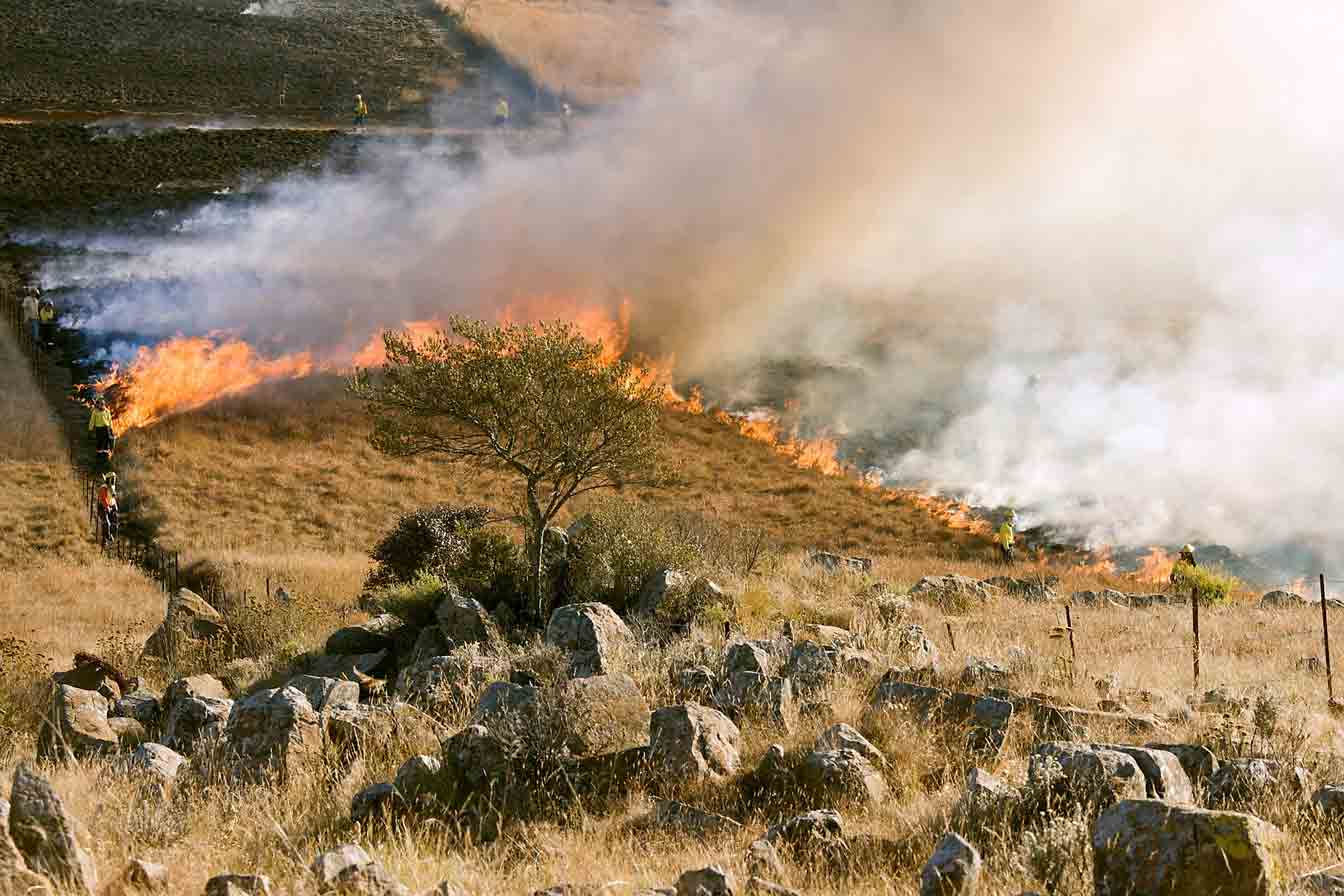 A Guide To Building On Bushfire Prone Land