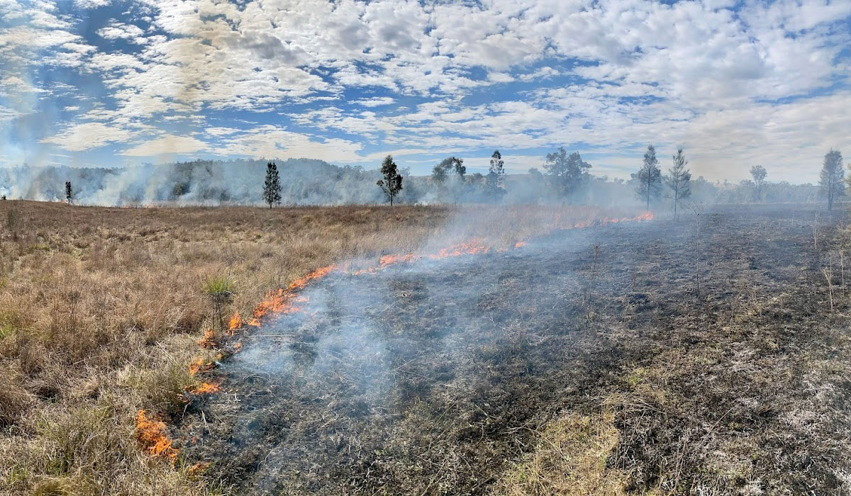 How Bushfire Attack Levels (BAL) Impact Your Home Design & Construction
